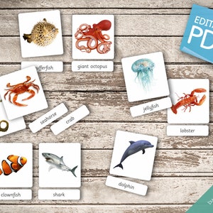 OCEAN ANIMALS • 22 Montessori Cards • Flash Cards Nomenclature ...