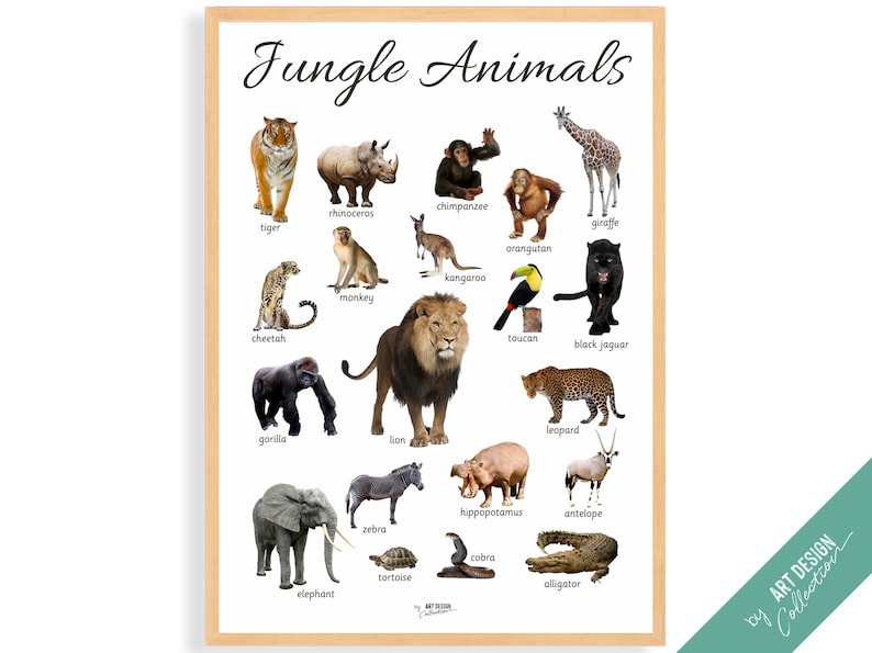 JUNGLE ANIMALS POSTER Montessori Poster Montessori - Etsy