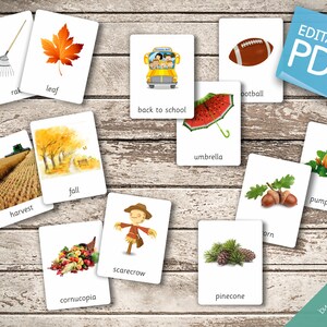 FALL Vocabulary • 40 Editable Montessori Cards • Flash Cards ...