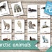 ARCTIC ANIMALS • 20 Editable Montessori Cards • Flash Cards ...