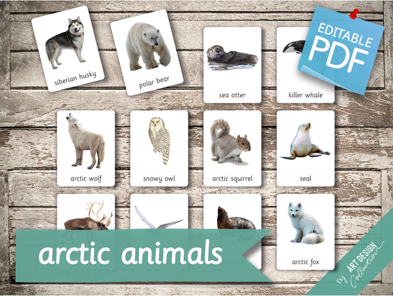 ARCTIC ANIMALS 20 Editable Montessori Cards Flash Cards - Etsy