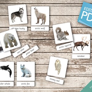 ARCTIC ANIMALS • 20 Editable Montessori Cards • Flash Cards ...