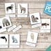 ARCTIC ANIMALS • 20 Editable Montessori Cards • Flash Cards ...