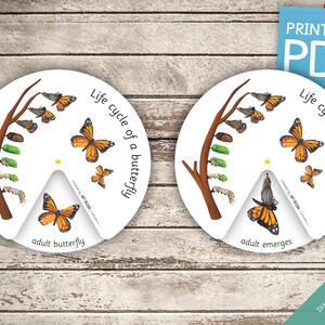 LIFE CYCLE of a BUTTERFLY Wheel • Montessori Busy Book Activity ...