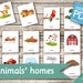 ANIMALS' HOME 63 Montessori Cards Flash Cards Nomenclature Flashcards ...