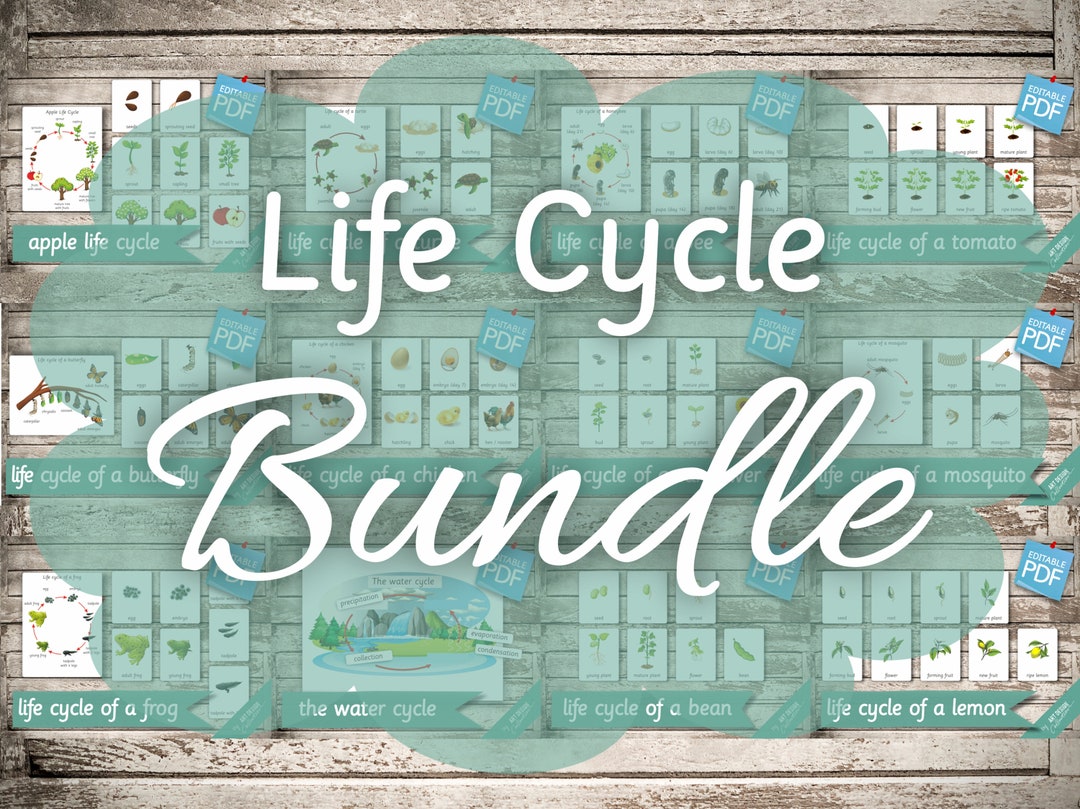 LIFE CYCLE BUNDLE • 12 Life Cycles • Montessori Cards Flash Cards ...