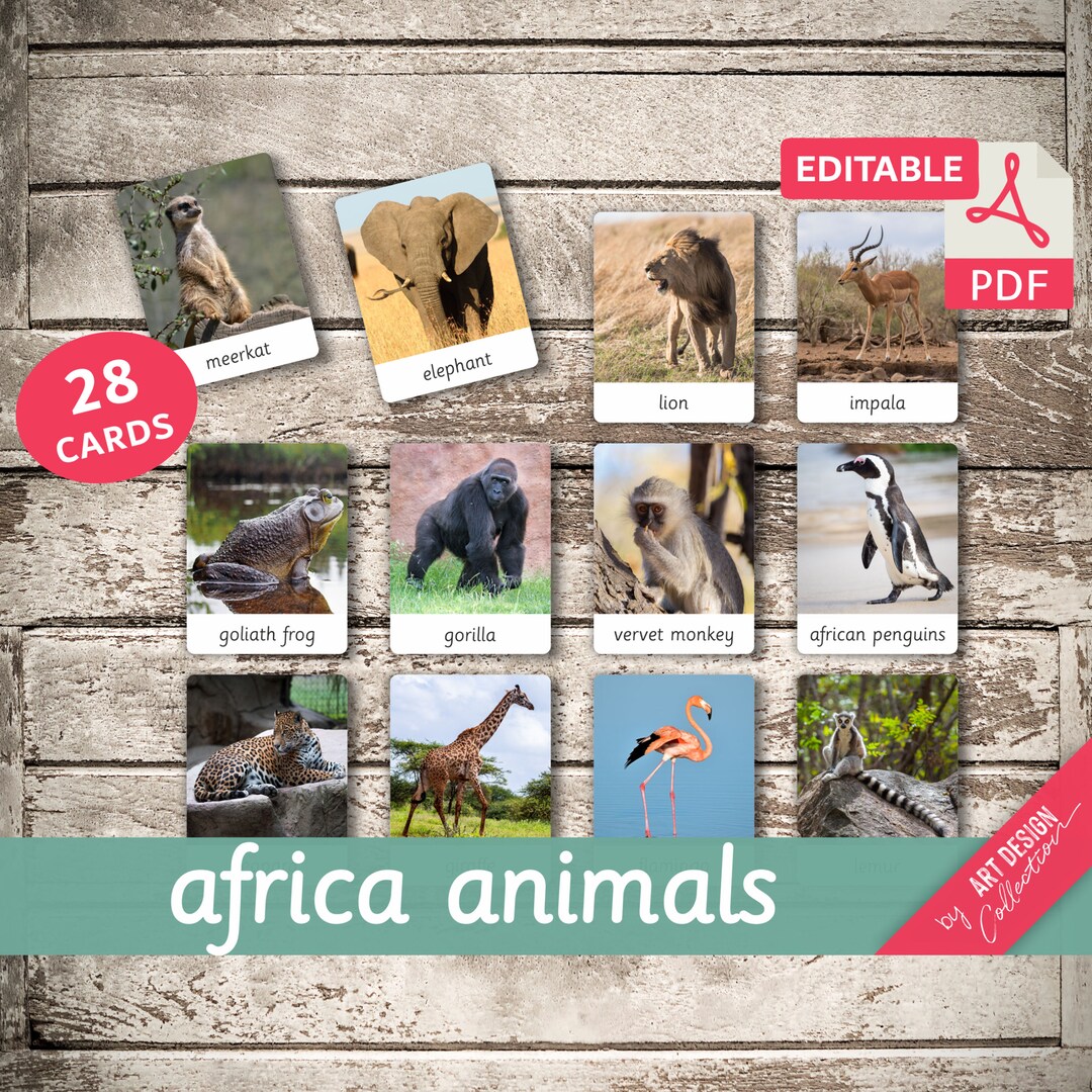 AFRICA ANIMALS • 28 Editable Montessori Cards • Flash Cards ...