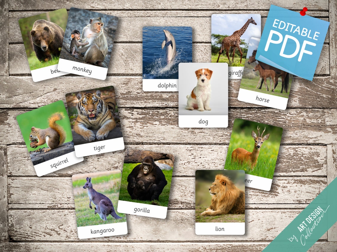 MAMMAL ANIMALS 28 Editable Montessori Cards Flash Cards - Etsy