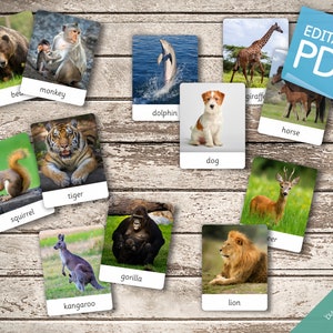 MAMMAL ANIMALS • 28 Editable Montessori Cards • Flash Cards ...