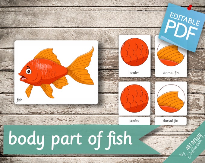PARTS of a FISH • Montessori Nomenclature Cards - Flash Cards ...