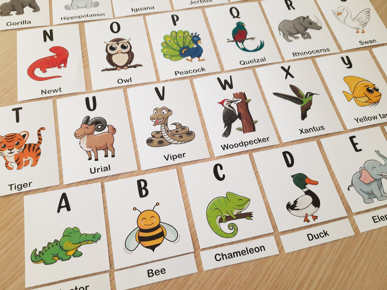 ANIMAL ALPHABET Flashcards 26 Montessori Cards Flash Cards - Etsy