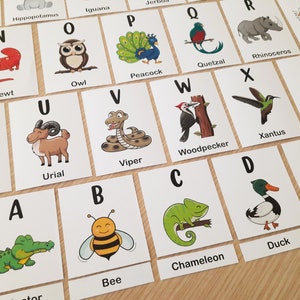 ANIMAL ALPHABET Flashcards • 26 Montessori Cards • Flash Cards ...