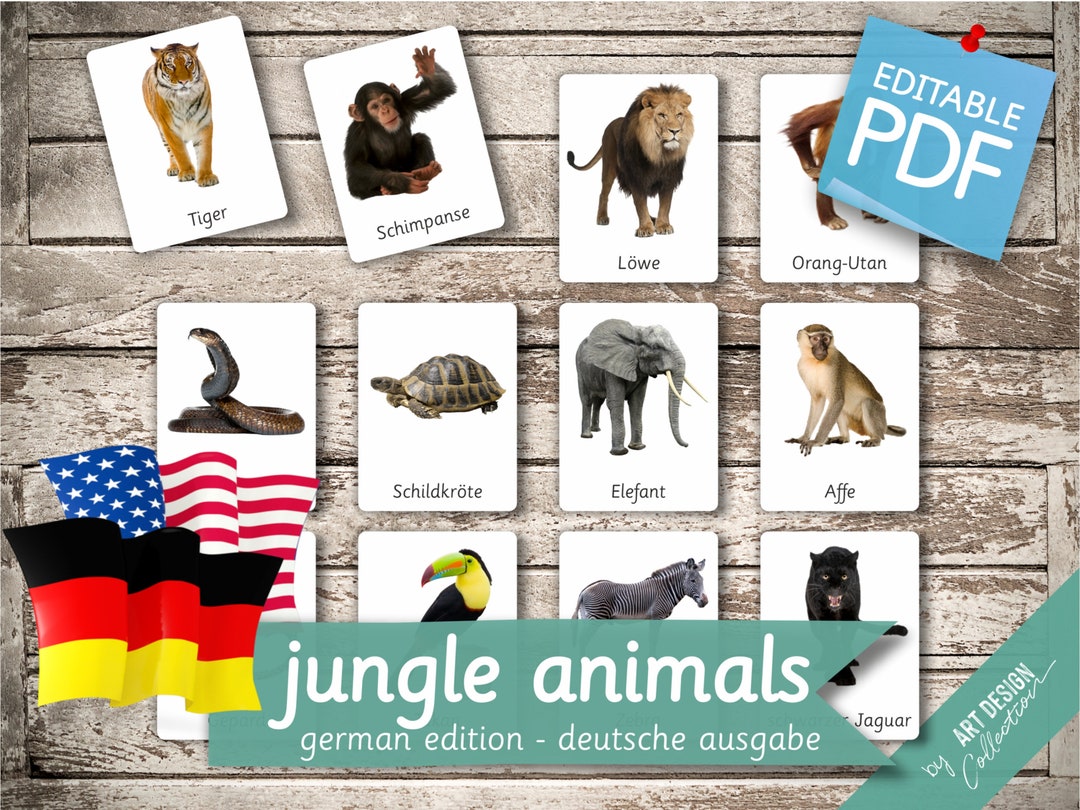 JUNGLE ANIMALS GERMAN Edition • 22 German and 22 English Editable ...