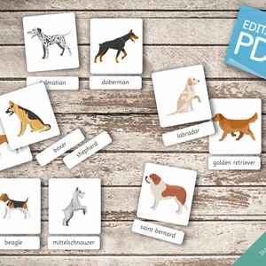 BREEDS OF DOG • 26 Editable Montessori Cards • Flash Cards Nomenclature ...