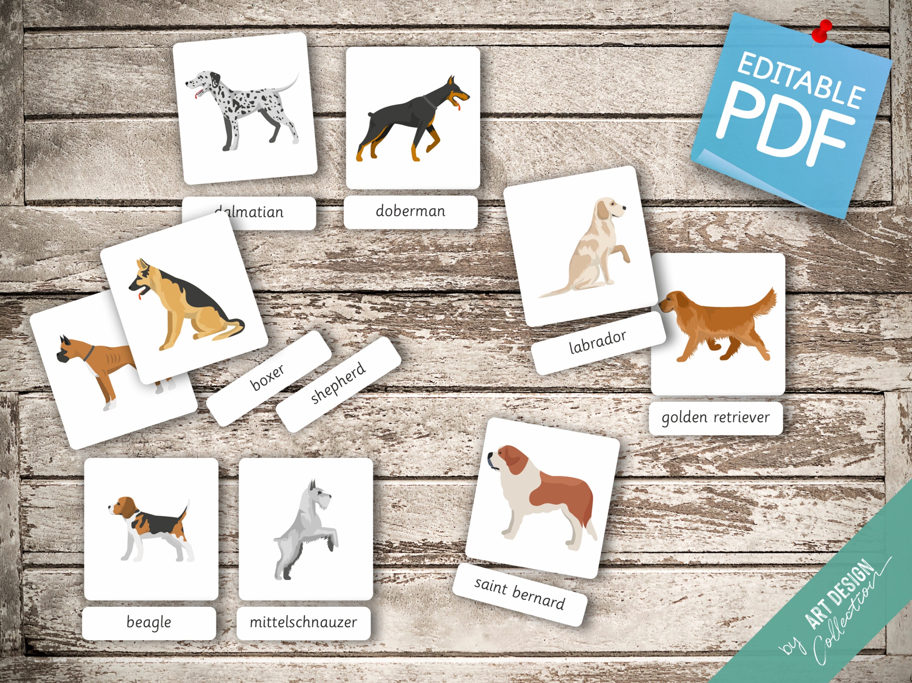 BREEDS OF DOG 26 Editable Montessori Cards Flash Cards - Etsy