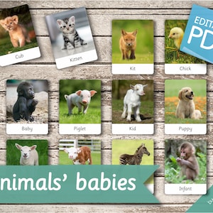 ANIMALS' BABIES • 108 Editable Montessori Cards • Flash Cards ...