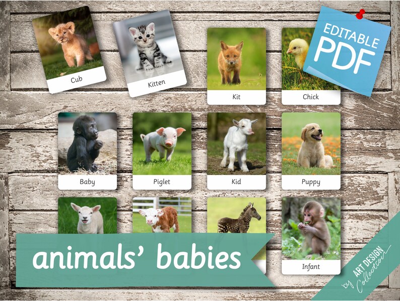 ANIMALS' BABIES 108 Editable Montessori Cards Flash | Etsy
