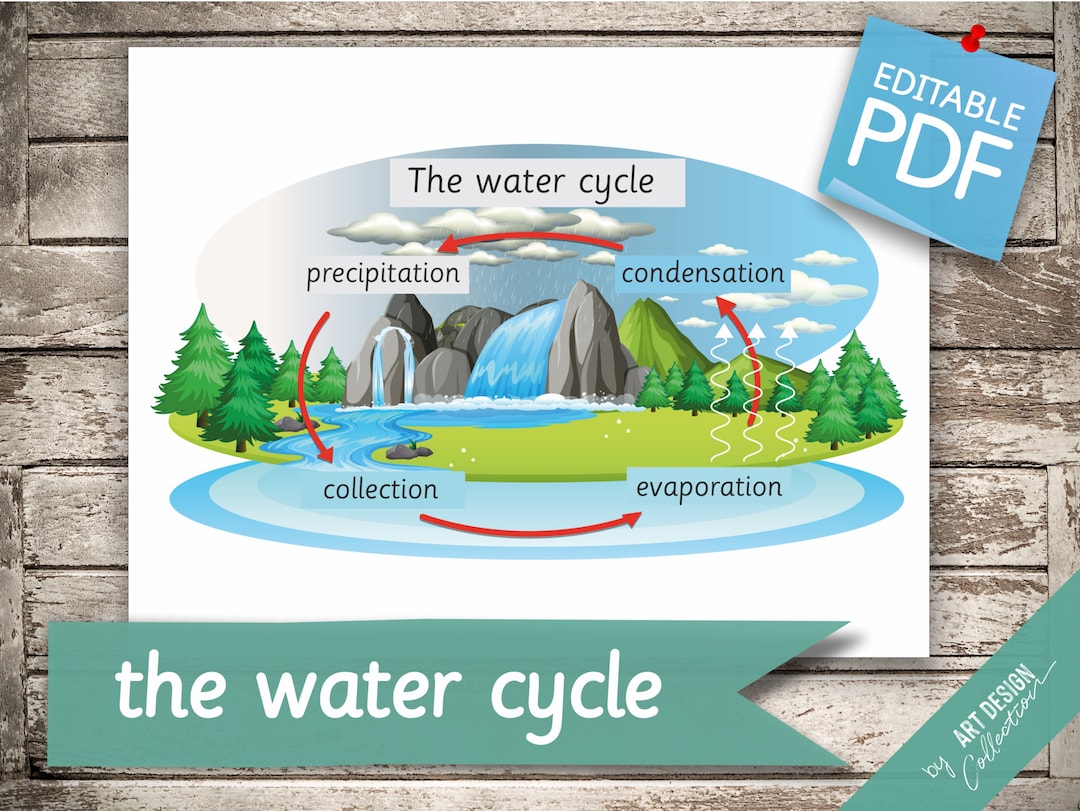 THE WATER CYCLE • 4 Montessori Cards • Flash Cards Nomenclature ...