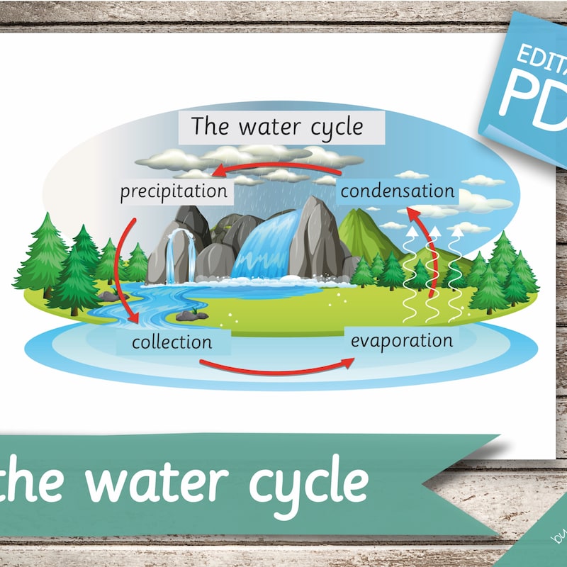 Water Cycle Poster - Etsy