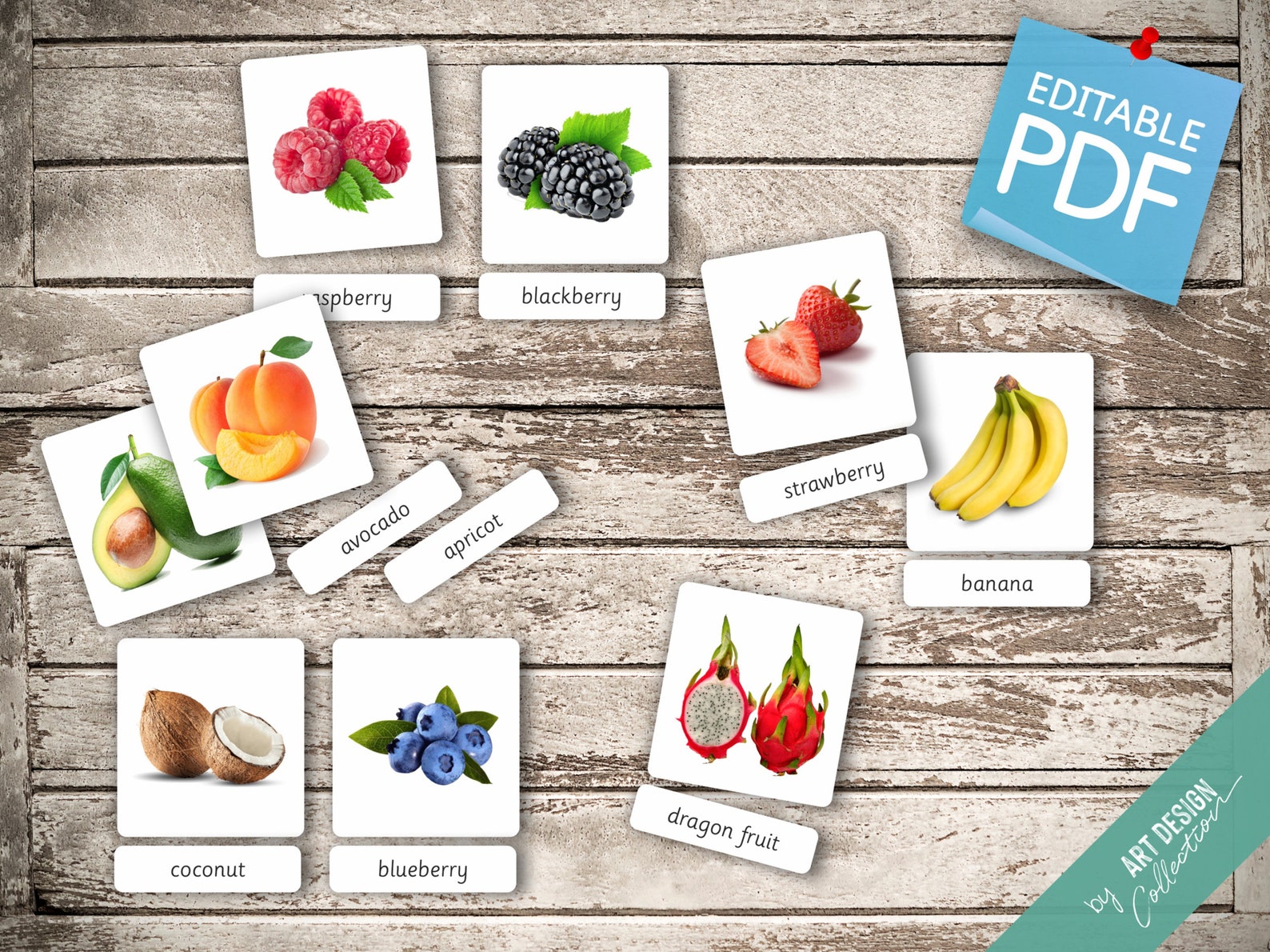 FRUITS real Pictures 50 Editable Montessori Cards Flash - Etsy