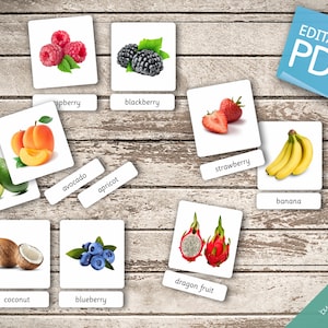 FRUITS (real Pictures) • 50 Editable Montessori Cards • Flash Cards ...