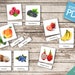 FRUITS real Pictures 50 Editable Montessori Cards Flash Cards ...
