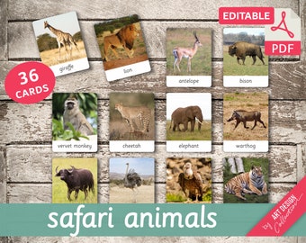 ASIA ANIMALS 32 Editable Montessori Cards Flash Cards Nomenclature ...