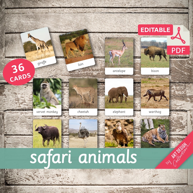 SAFARI ANIMALS • 36 Editable Montessori Cards • Flash Cards ...