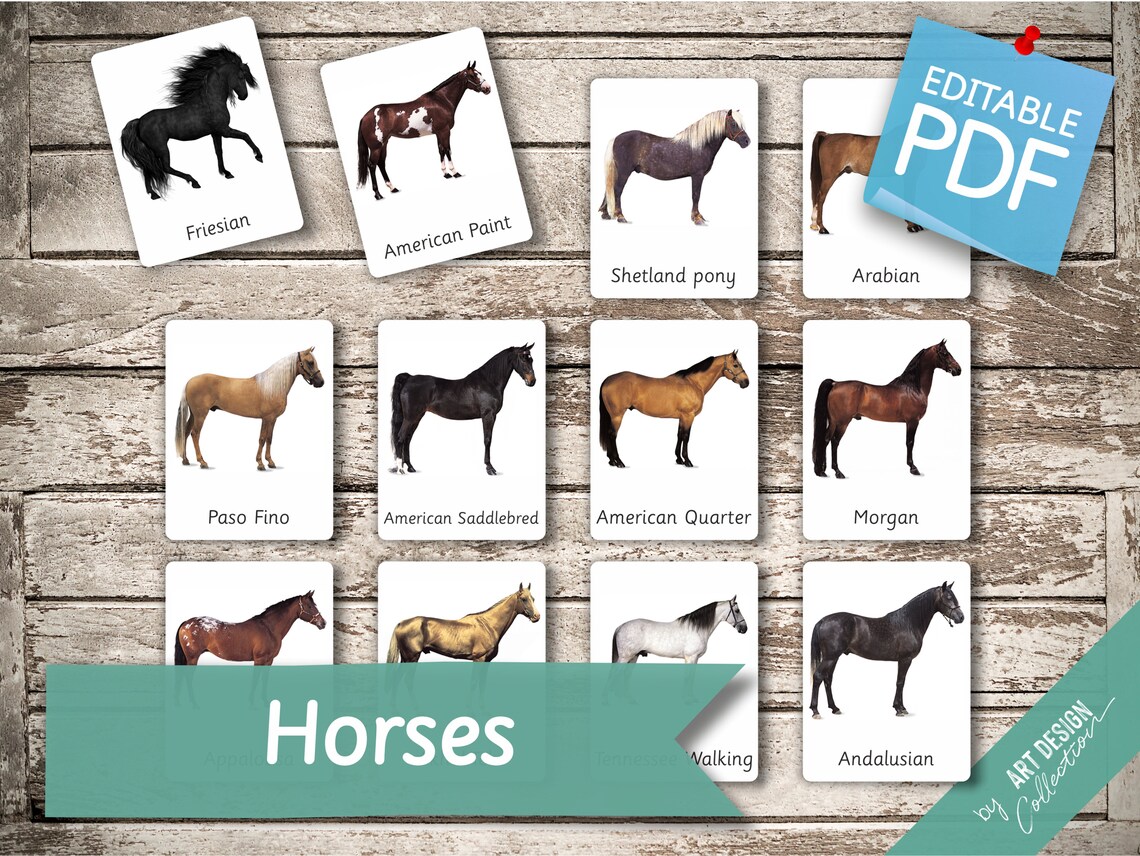 HORSES 28 Editable Montessori Cards Flash Cards - Etsy