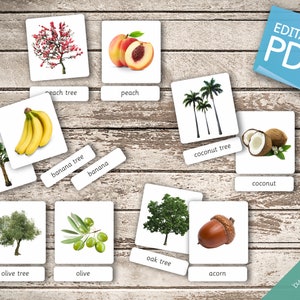 TREES AND FRUITS • 48 Montessori Cards • Flash Cards Nomenclature ...