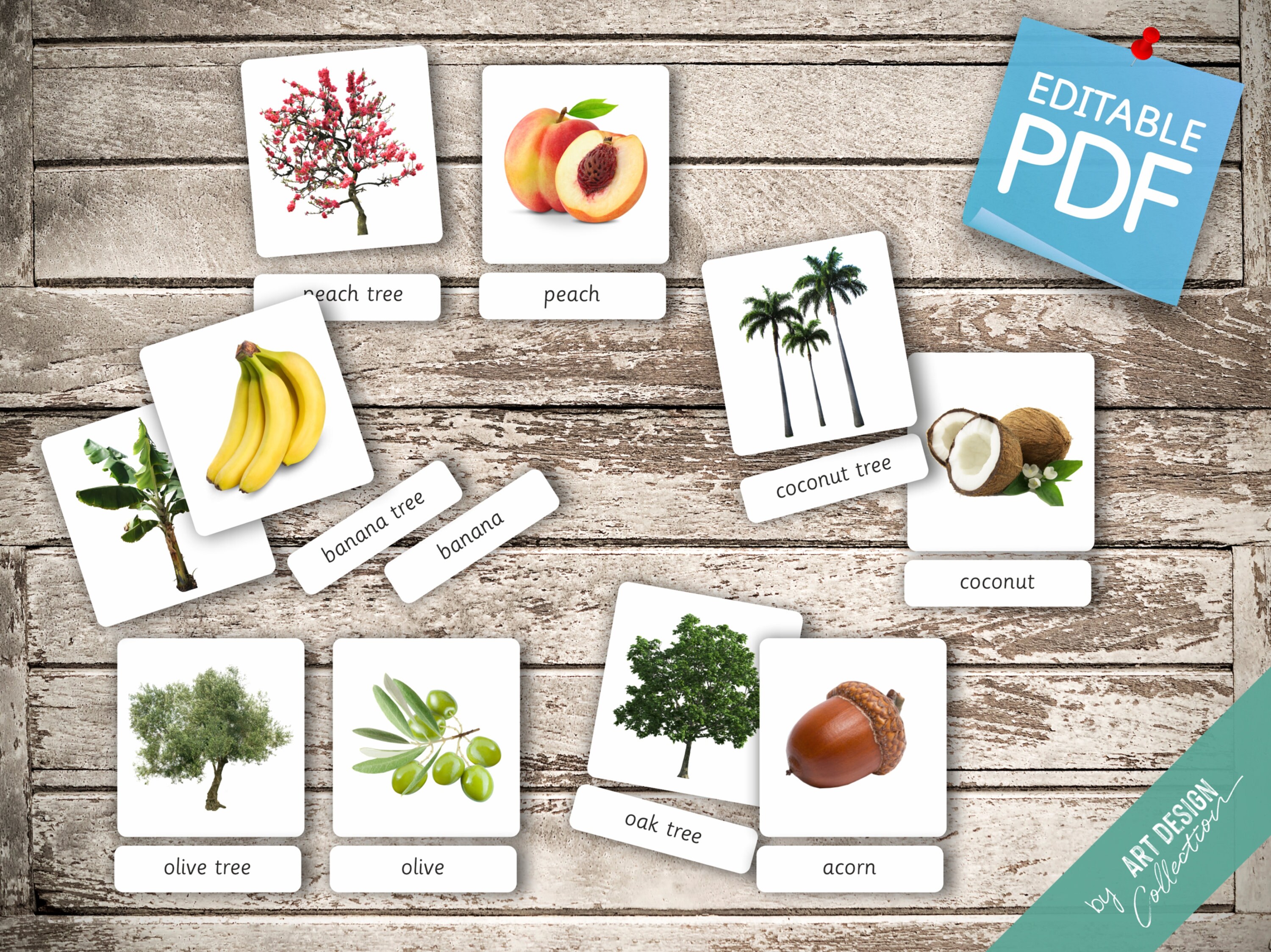 TREES AND FRUITS 48 Montessori Cards Flash Cards - Etsy Canada