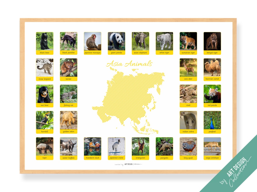 ASIA ANIMALS Poster • Montessori Poster • Montessori Educational ...
