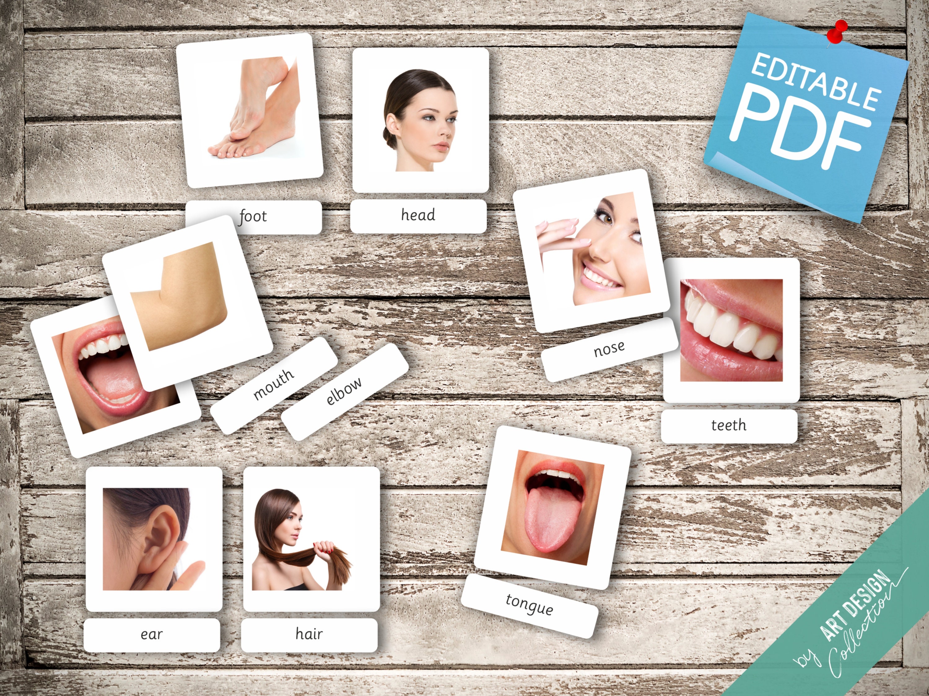 BODY PARTS (real Pictures) • 22 Montessori Cards • Flash Cards ...