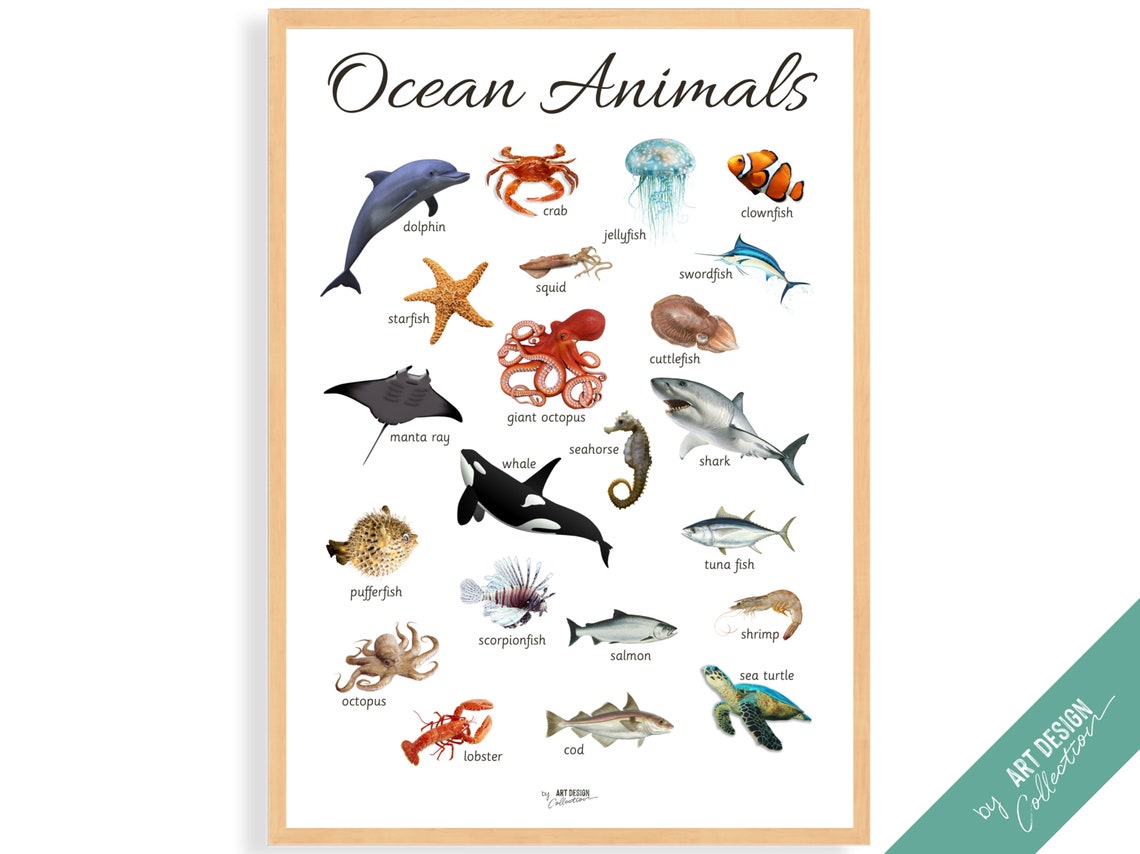 OCEAN ANIMALS POSTER Montessori Poster Montessori | Etsy