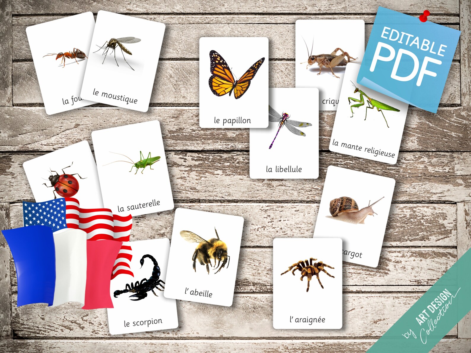 INSECTS FRENCH Edition 22 French and 22 English Editable - Etsy