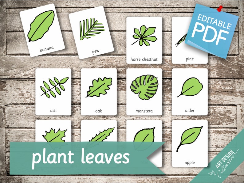 PLANT LEAVES 32 Editable Montessori Cards Flash Cards - Etsy