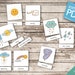 WEATHER SPANISH Edition 26 Spanish and 26 English Editable - Etsy