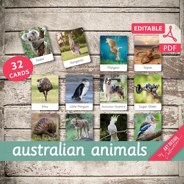 Australian Animals - Etsy