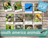 SOUTH AMERICA ANIMALS 28 Editable Montessori Cards Flash - Etsy