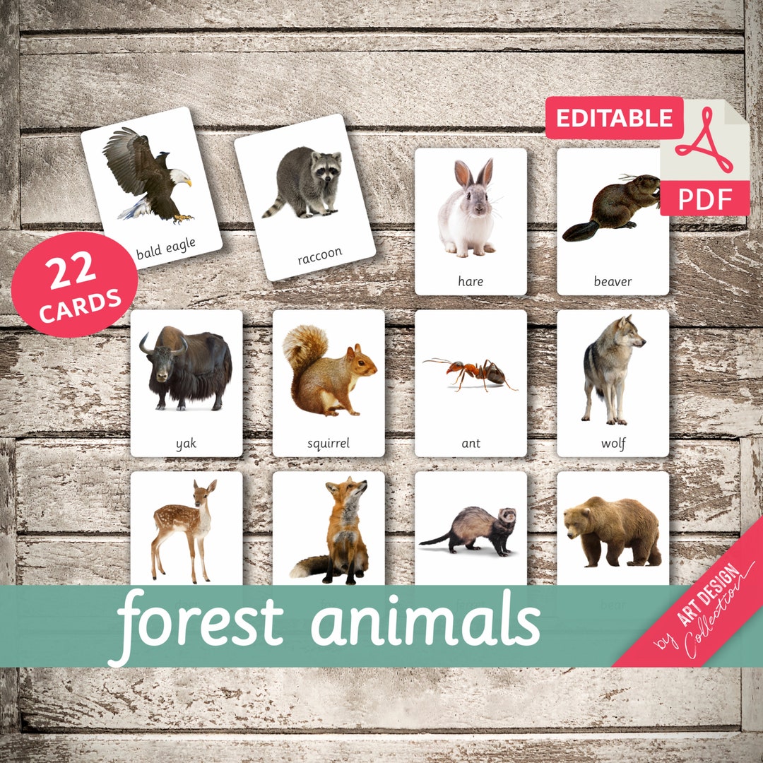 FOREST ANIMALS (real Pictures) • 22 Editable Montessori Cards • Flash ...