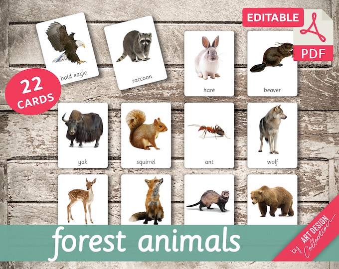 Woodland Animals Flash Cards, Printable Montessori Materials ...