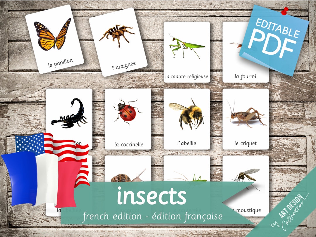 INSECTS FRENCH Edition • 22 French and 22 English Editable Montessori ...
