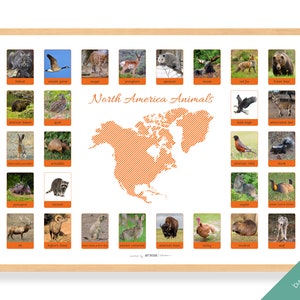 NORTH AMERICA ANIMALS Poster • Montessori Poster • Montessori ...