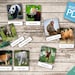 ASIA ANIMALS 32 Editable Montessori Cards Flash Cards Nomenclature ...