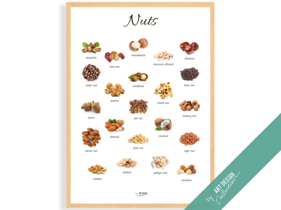 NUTS POSTER • Montessori Poster • Montessori Educational Homeschooling ...