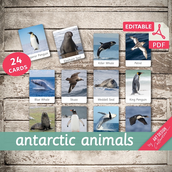 Antarctic Pdf - Etsy
