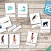 HUMAN EVOLUTION • 15 Montessori Cards • Flash Cards Nomenclature ...