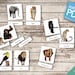 JUNGLE ANIMALS 22 Editable Montessori Cards Flash Cards Nomenclature ...