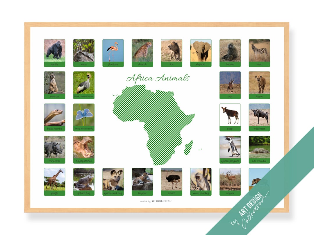 AFRICA ANIMALS Poster • Montessori Poster • Montessori Educational ...