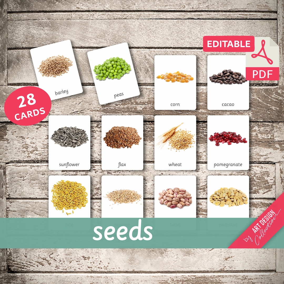 SEEDS (real Pictures) • 28 Editable Montessori Cards • Flash Cards ...